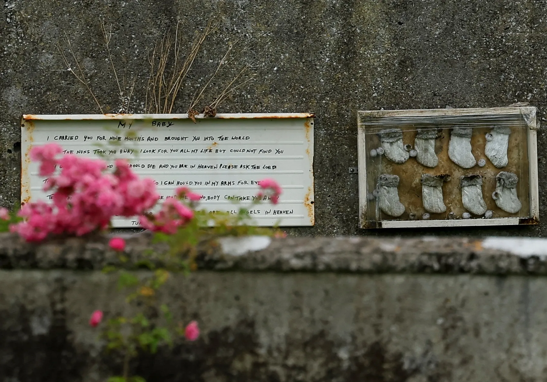 Unearthing the Truth: Excavation at the Former Bon Secours Mother and ...